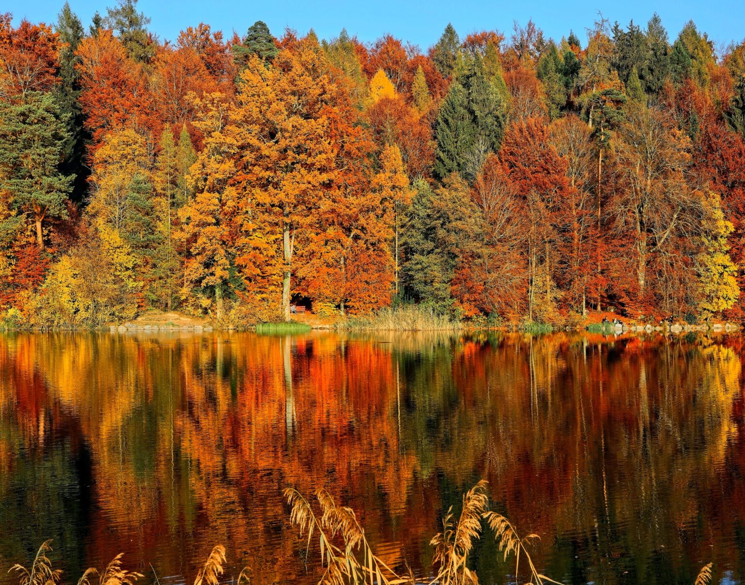 Colorimétrie : Le guide complet pour connaître tes couleurs idéales